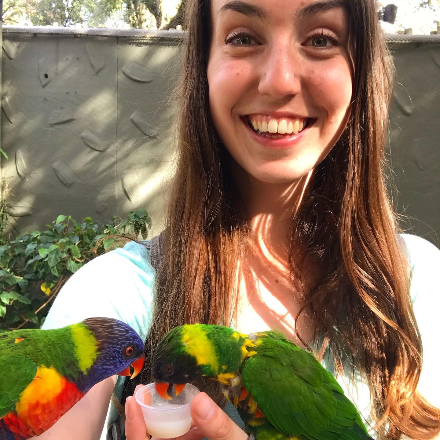 About Me – Colette Langley